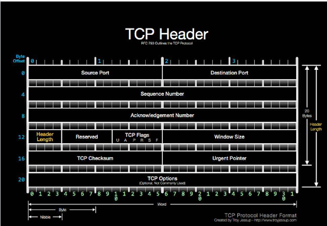 Tcp Vs Udp Header Information